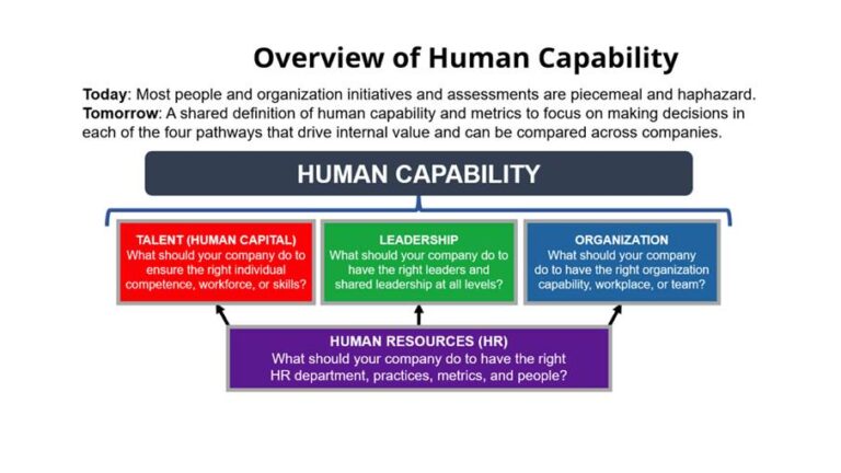 Delivering Stakeholder Value Through Human Capability: The Emerging ...